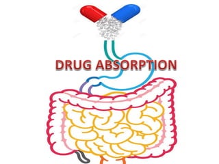 Drug absorption | PPTX