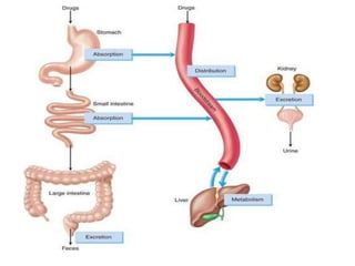 Drug absorption | PPTX