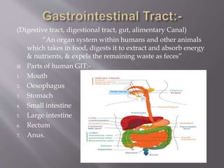Drug absorption from GIT | PPTX