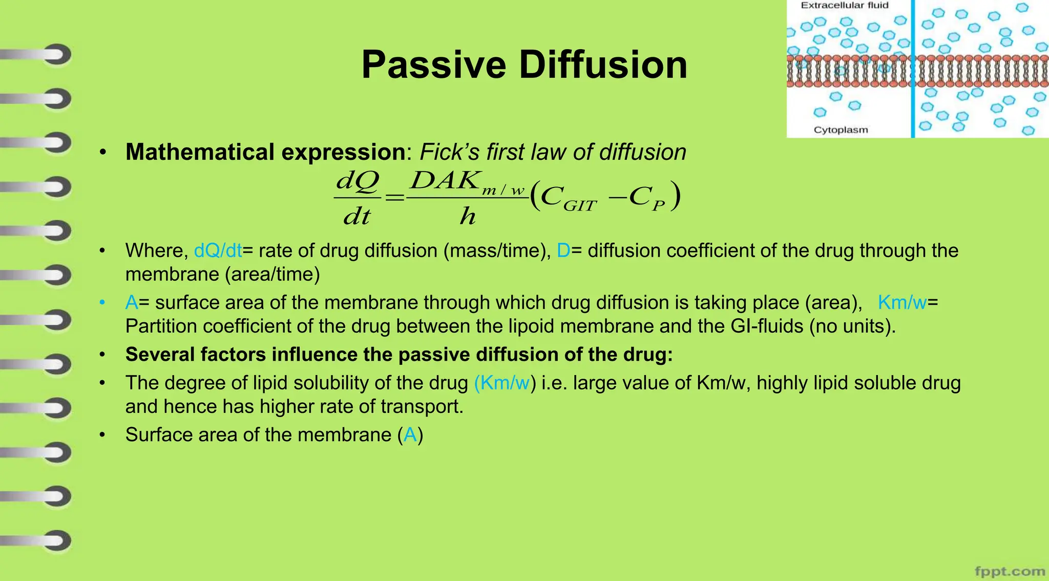 Drug Absorption Mechanism and Factors.pptx