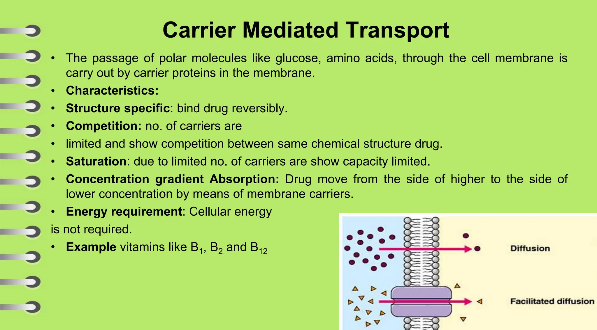 Drug Absorption Mechanism and Factors.pptx