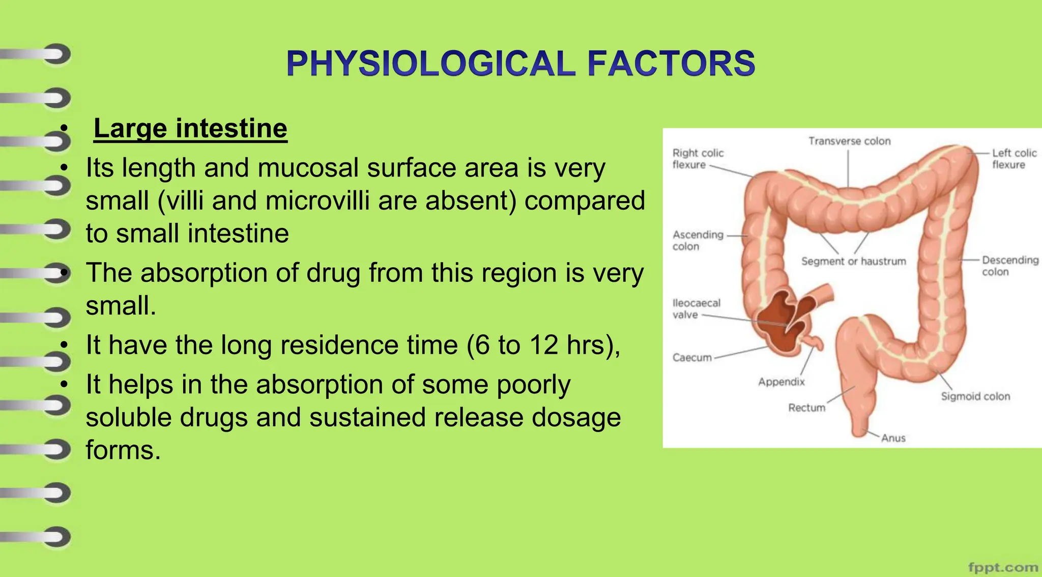 Drug Absorption Mechanism and Factors.pptx