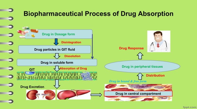 Drug Absorption Mechanism and Factors.pptx