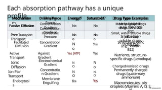 Drug_Absorption_Mechanisms_Explained.pptx
