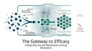 Drug_Absorption_Mechanisms_Explained.pptx
