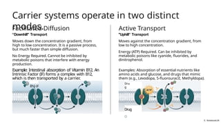Drug_Absorption_Mechanisms_Explained.pptx