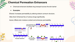 Drug Absorption Through the Skin (1).pptx