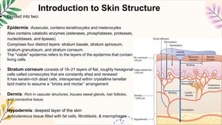 Drug Absorption Through the Skin (1).pptx