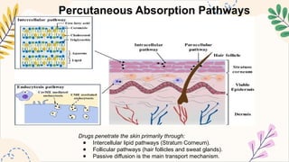 Drug Absorption Through the Skin (1).pptx