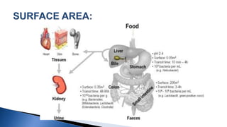Drug absorption | PPTX