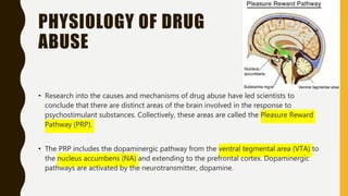 Drug abuse | PDF