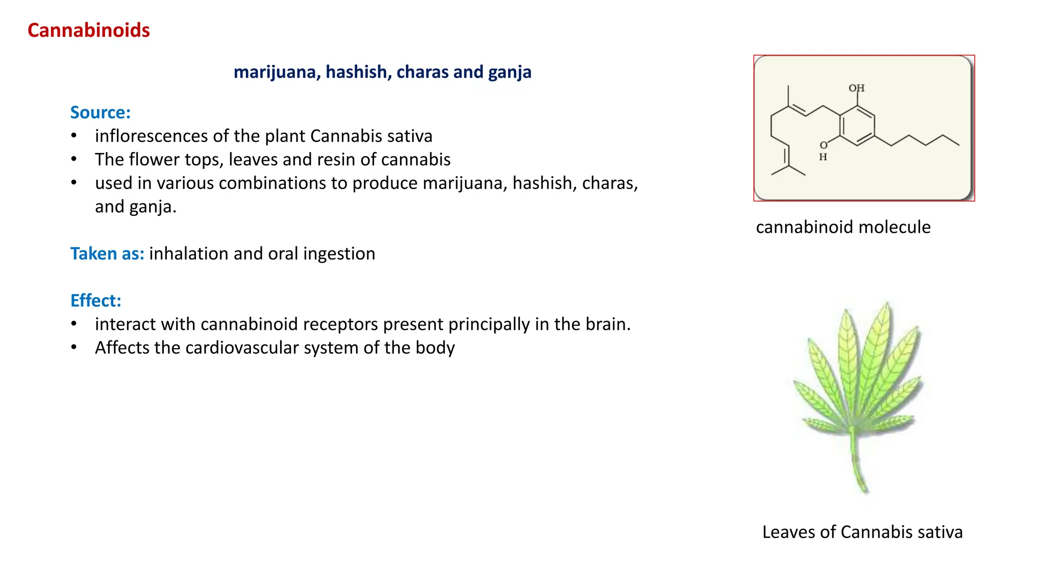 Drug abuse Class XII Biology NCERT Based.pptx