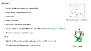 Drug abuse Class XII Biology NCERT Based.pptx