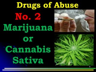 DRUG ABUSE LECTURE FOR STUDENTS AT SCHOOL.ppt