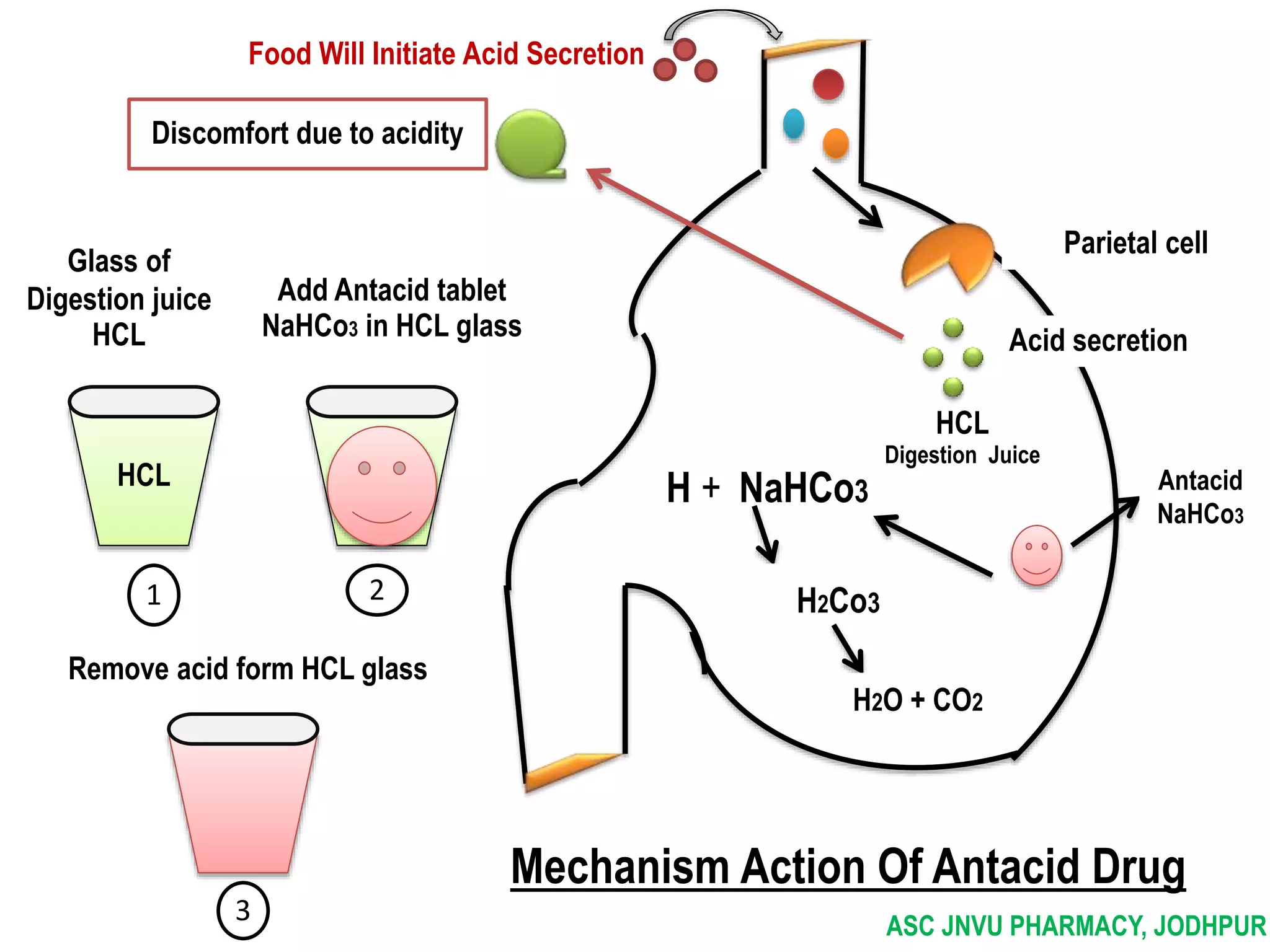 Drug acting on digestive system | PPTX