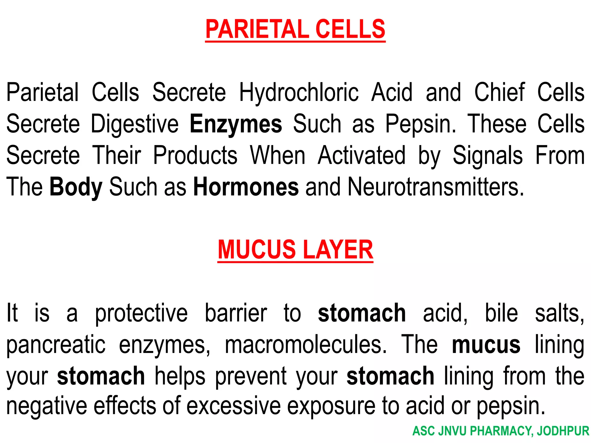 Drug acting on digestive system | PPTX