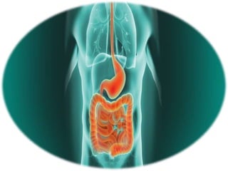 Drug acting on digestive system | PPTX | Digestive Disorders | Diseases ...