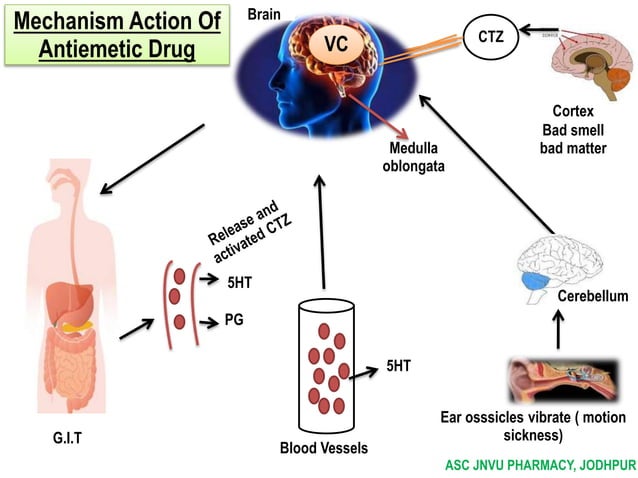 Drug acting on digestive system | PPTX | Digestive Disorders | Diseases ...