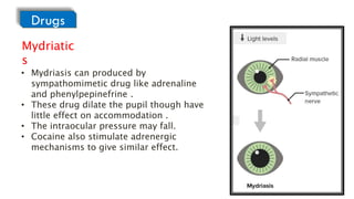 Drug Acting on Eye.pptx