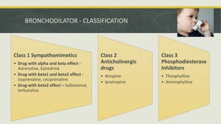 Drug acting on respiratory system | PPTX