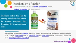 Drug acting on skin and mucous membrane lecture notes-Dr.Jibachha Sah ...