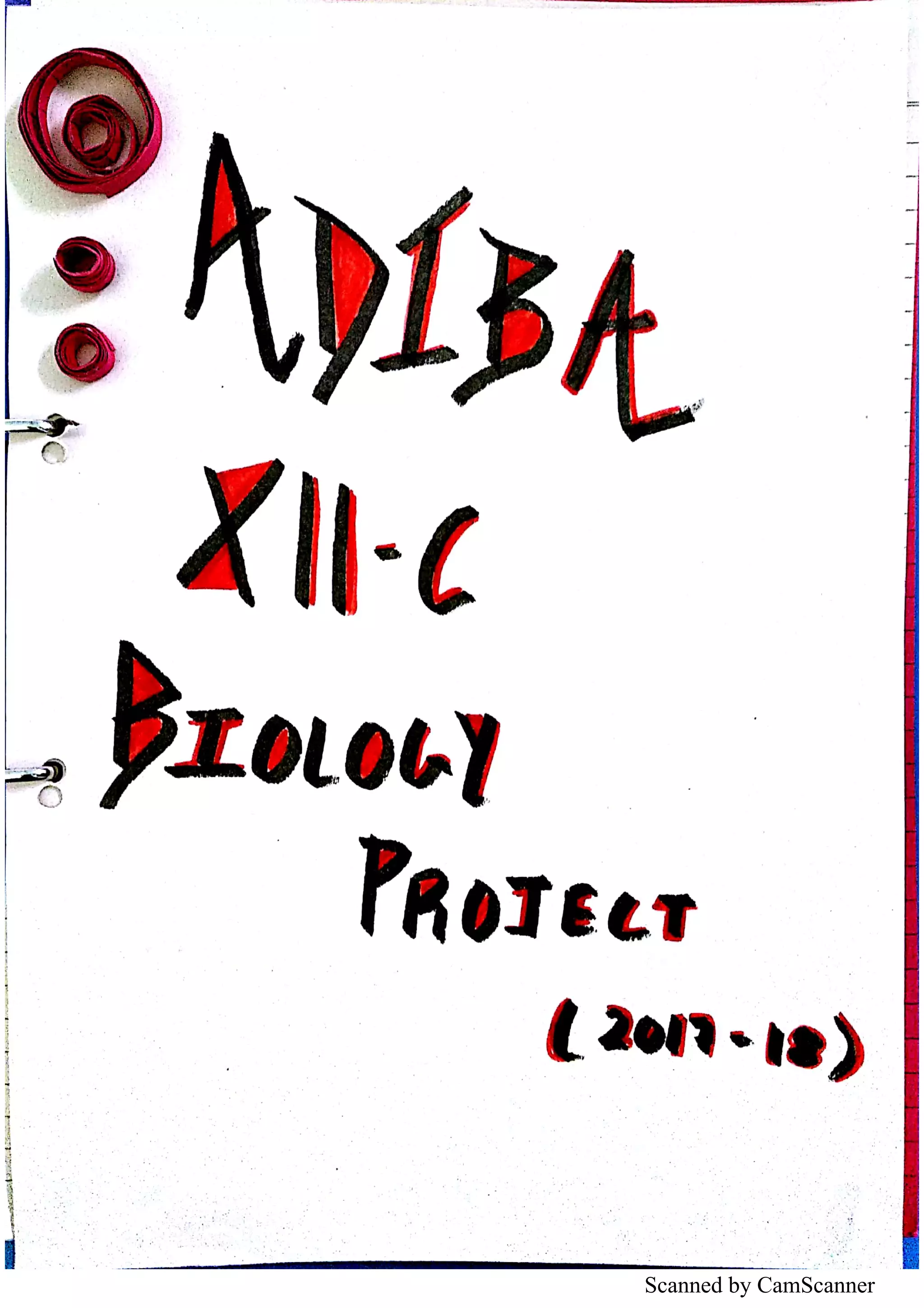 Drug Addiction Biology Investigatory Project | PDF | Real Estate ...