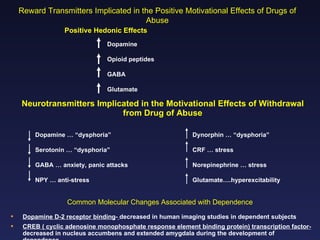 Drug Addiction Pharmainfo | PPS