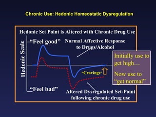 Drug Addiction Pharmainfo | PPS