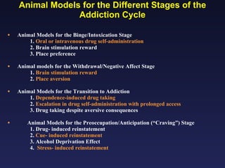 Drug Addiction Pharmainfo | PPS