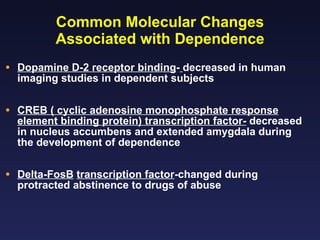 Drug Addiction Pharmainfo | PPS