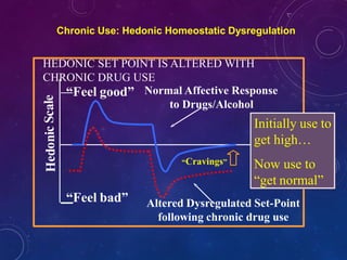 Drug Addiction Pharmacology Information. | PPTX