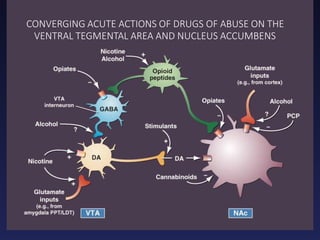 Drug Addiction Pharmacology Information. | PPTX