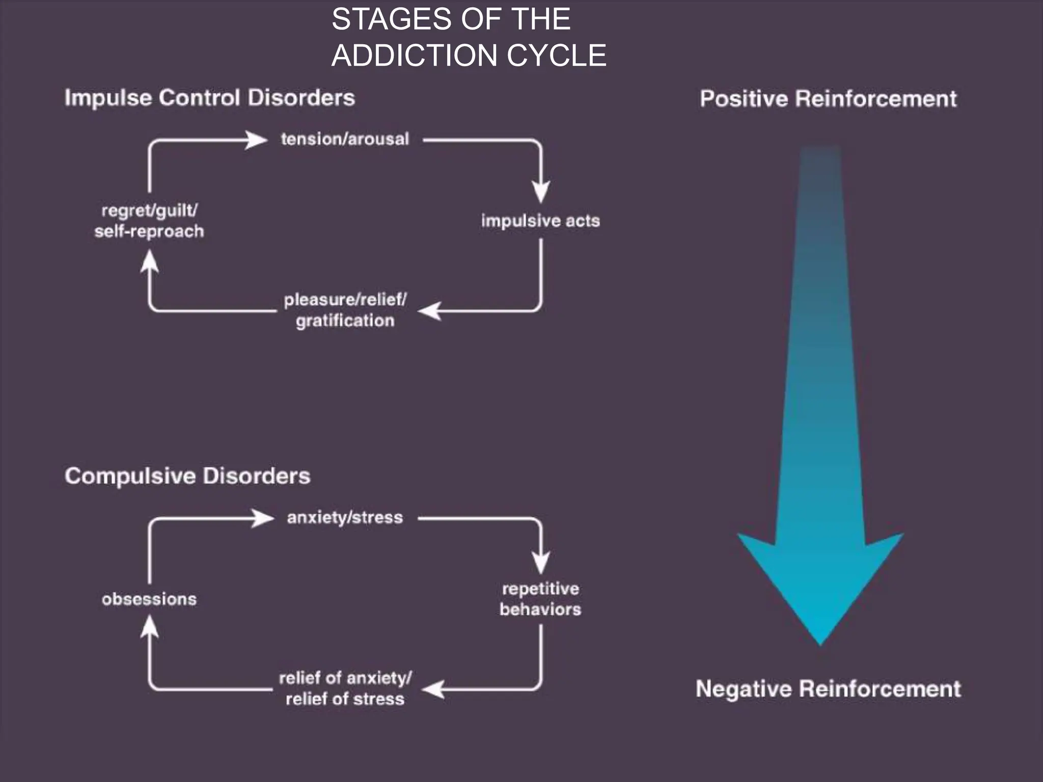 The Neuroscience of Drug Addiction and Therapy | PPTX