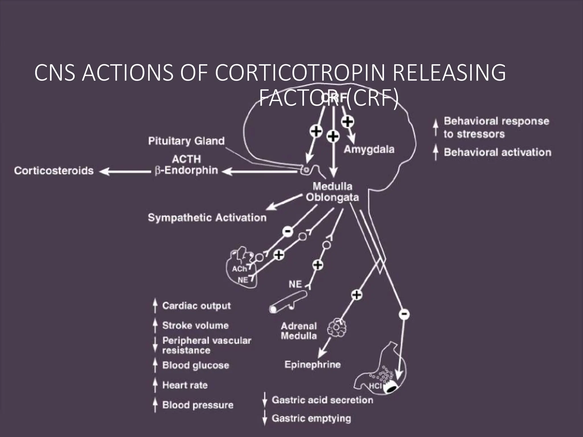 The Neuroscience of Drug Addiction and Therapy | PPTX
