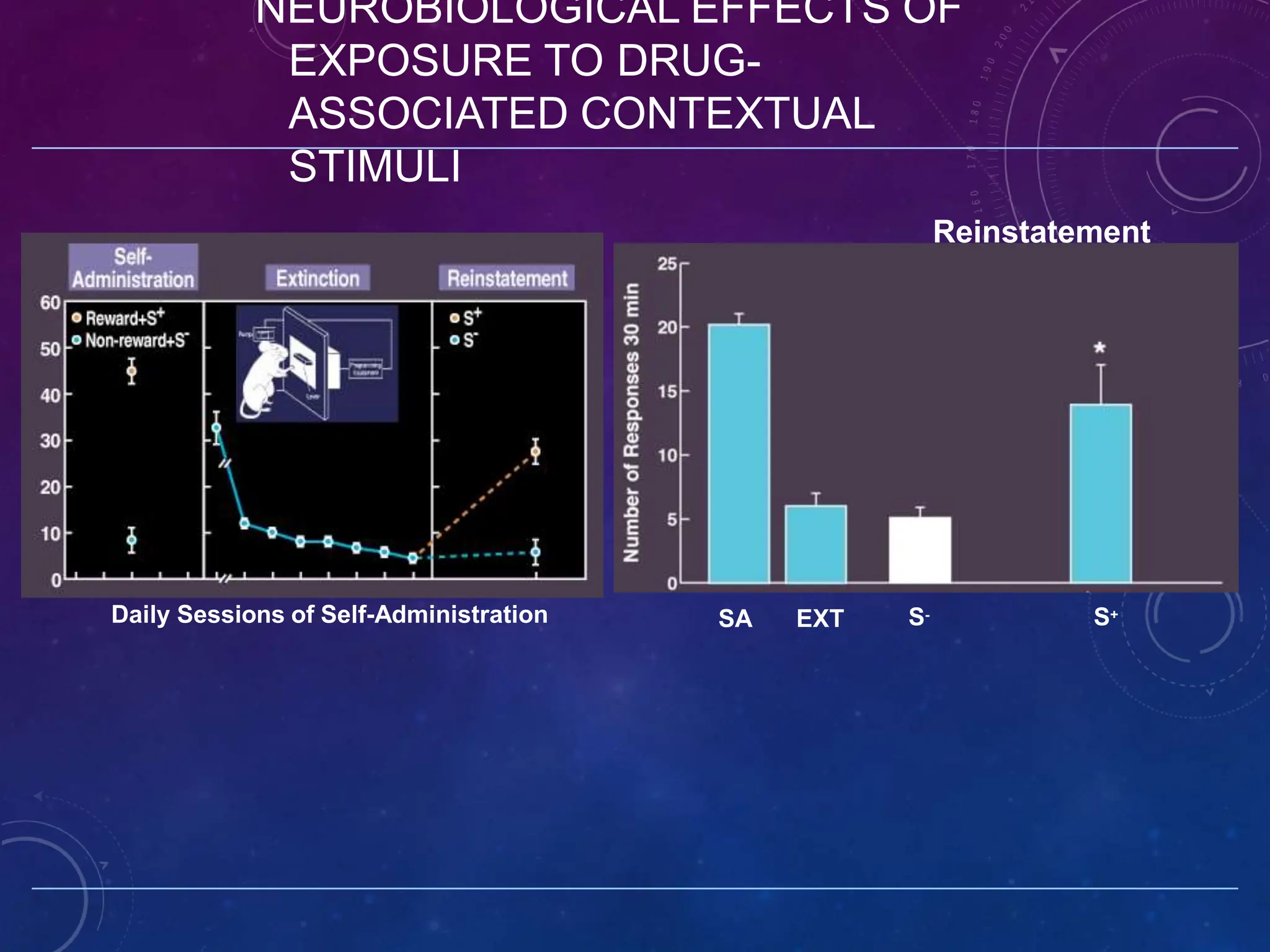 The Neuroscience of Drug Addiction and Therapy | PPTX