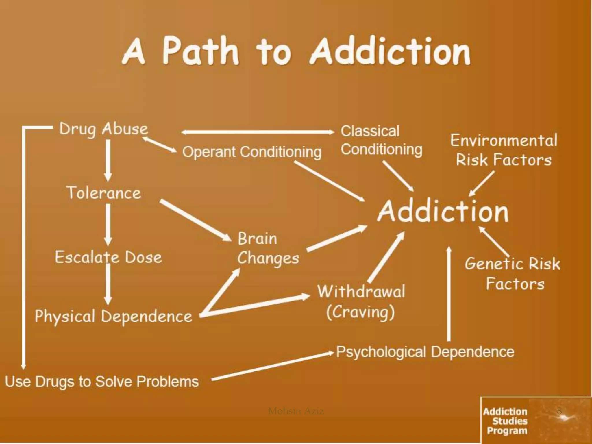 Drug Addiction | PPT
