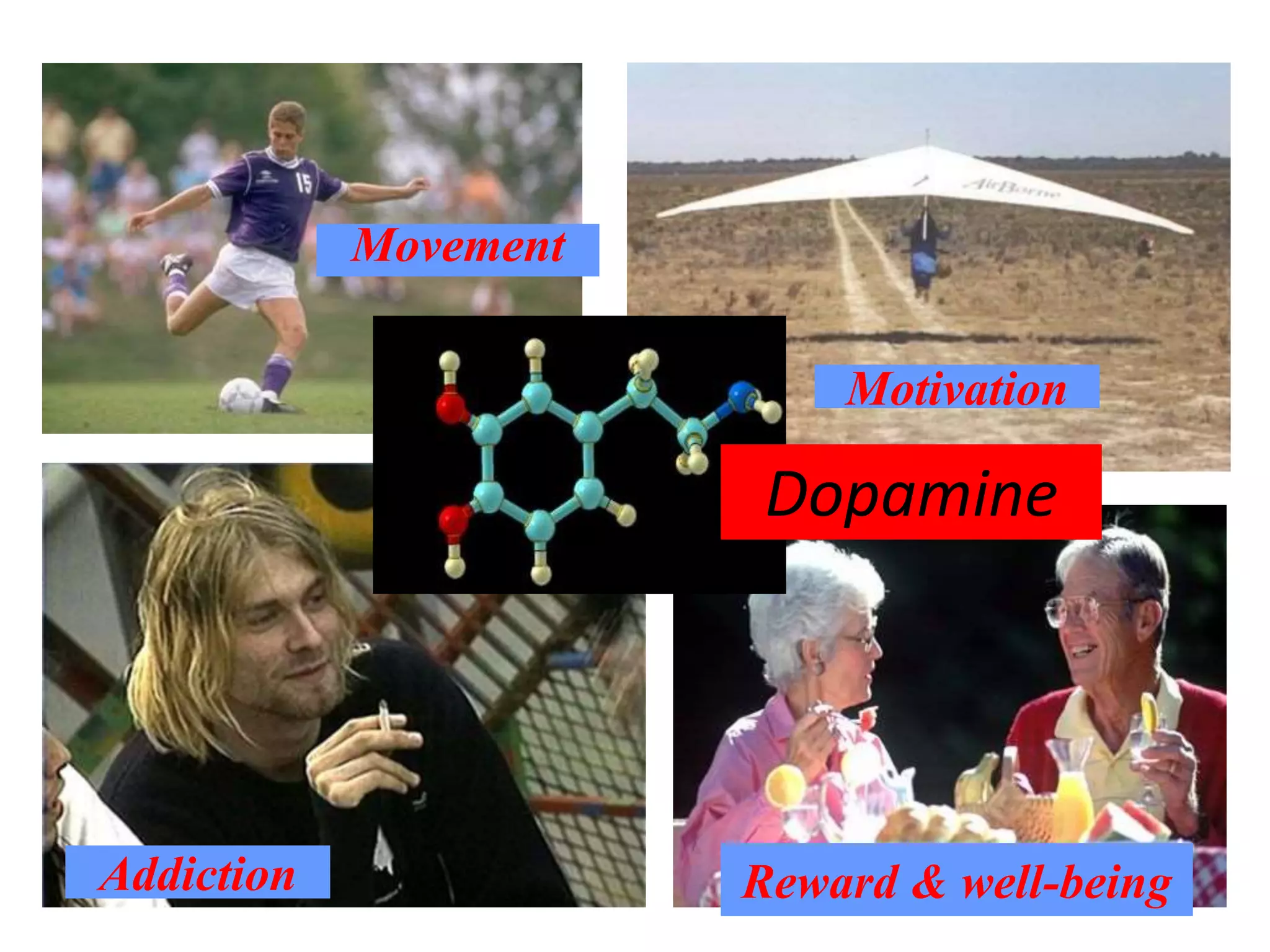 Drug addiction and deaddiction | PPTX