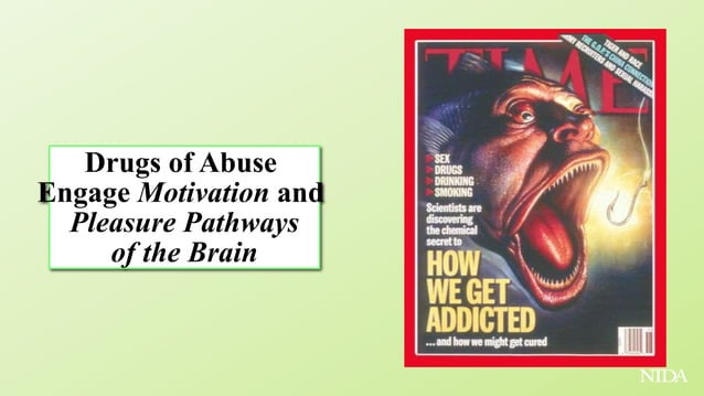 drug addiction as a brain.pptx