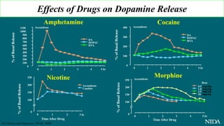 drug addiction as a brain.pptx