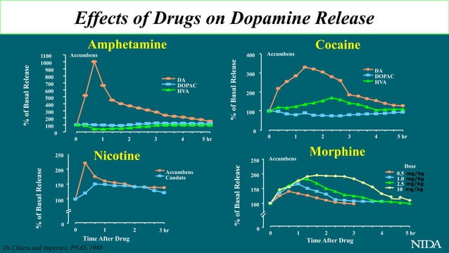 drug addiction as a brain.pptx