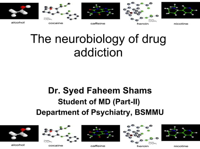 Drug addiction neurobiology | PPT