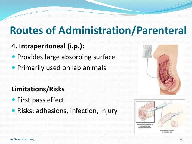 Drug adminstration routes