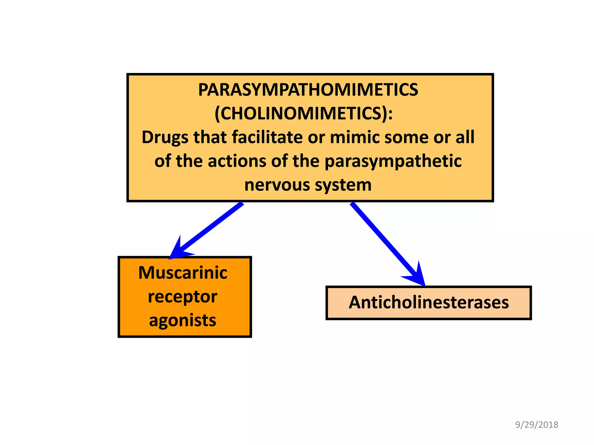 Drug affecting parasympathetic system | PPTX