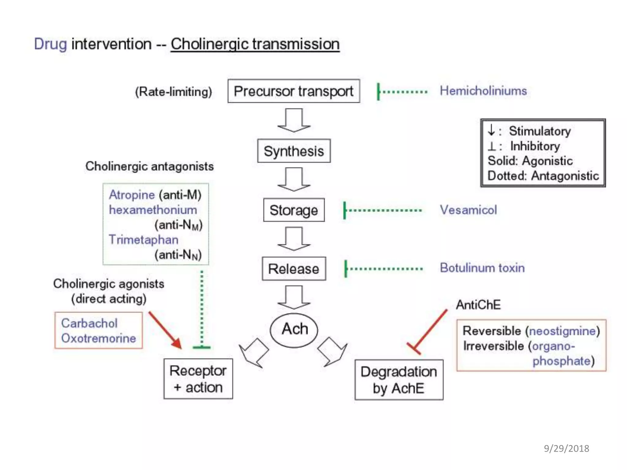 Drug affecting parasympathetic system | PPTX