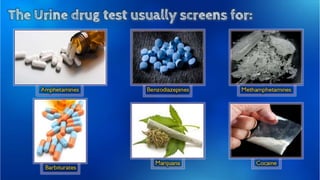 Drug analysis | PPT