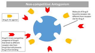 Drug antagonism | PPTX