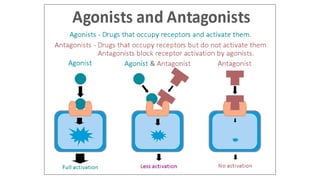 Drug antagonism | PPTX