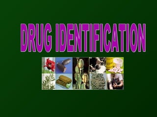 Drug awareness presentation | PPT