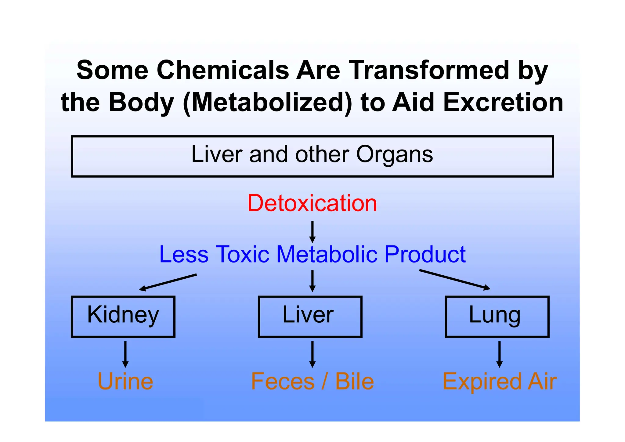 Drug Biochemistry L2.pdf