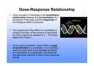 Drug Biochemistry L2.pdf